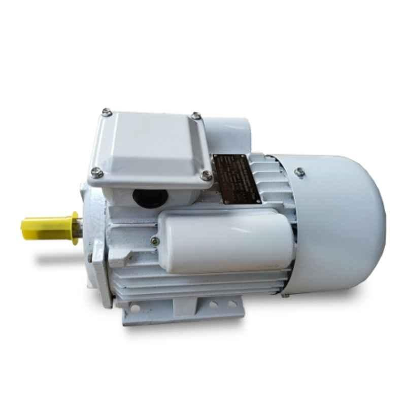 Really YC90 3HP 220V Single Phase Electric Motor for Chaff Cutter, MTAK ...